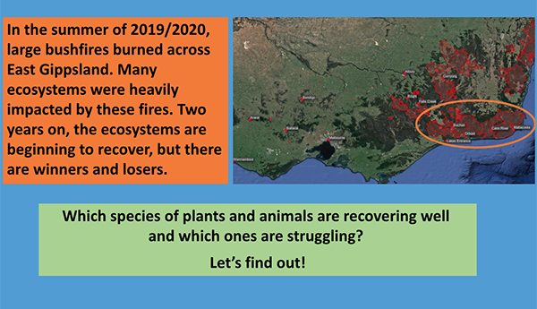 Fire Ecology | CFA (Country Fire Authority)