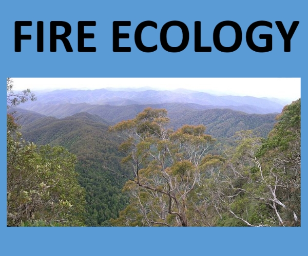 Fire Ecology | CFA (Country Fire Authority)
