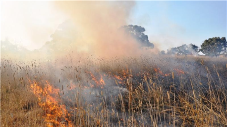 Welcome to CFA | CFA (Country Fire Authority)